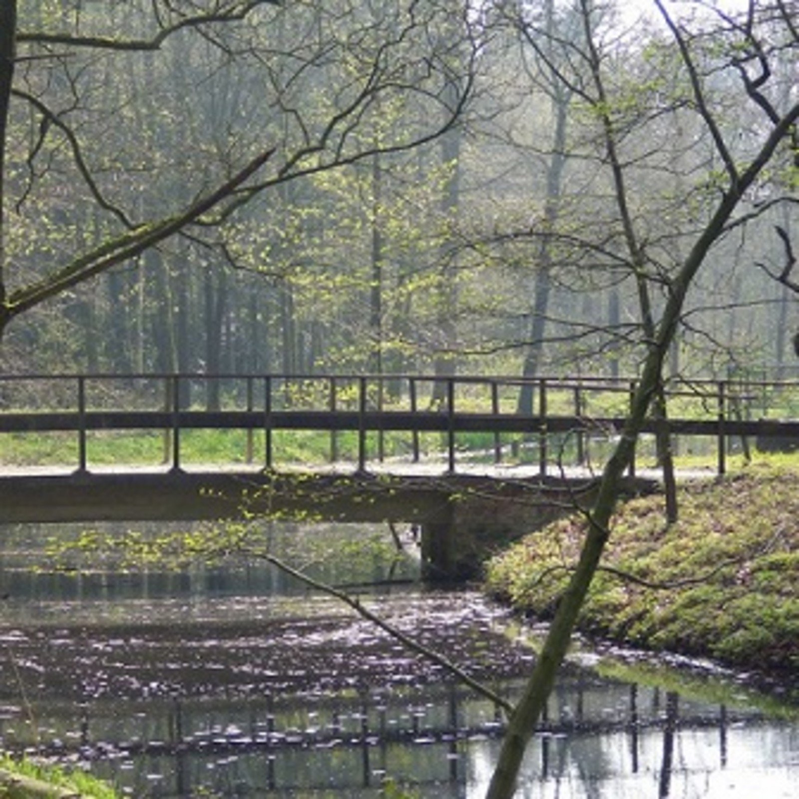 Wandelbos | Groenhove Diocesaan Dienstenhuis